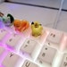 Pokemon Starter Kit: Mechanical Keyboard Key Caps - Etsy