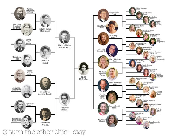 Custom Butterfly Pedigree Digital Design | Etsy