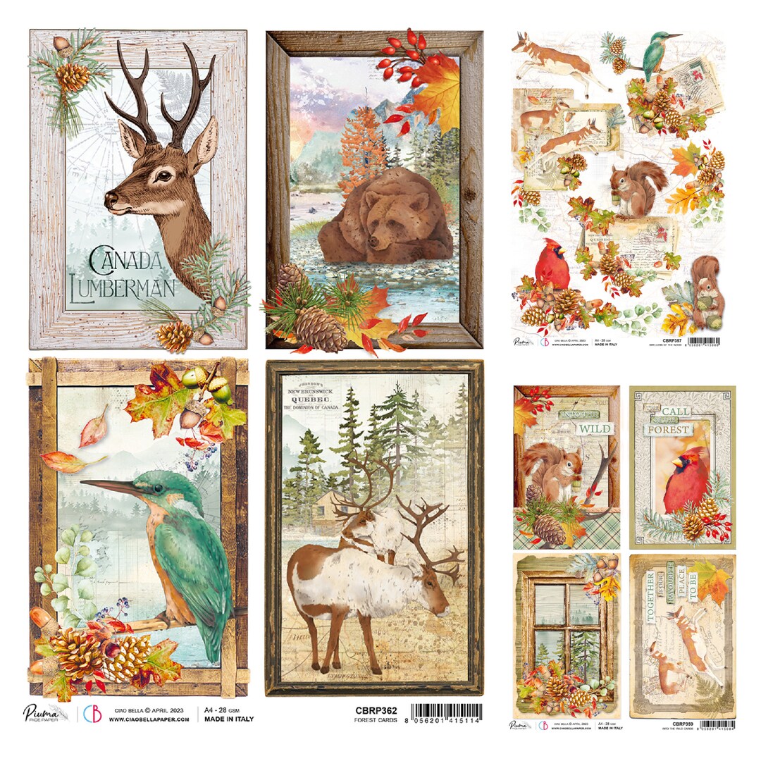Ciao Bella Into the Wild A4 Rice Paper,craft Supplies,card Making ...