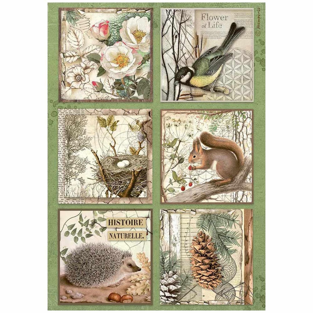 Stamperia Forest Cards A4 Rice Paper,craft Supplies,card Making ...