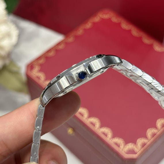 Cartier Santos De Cartier WSSA0063 Blue Dial Medium S… - Gem