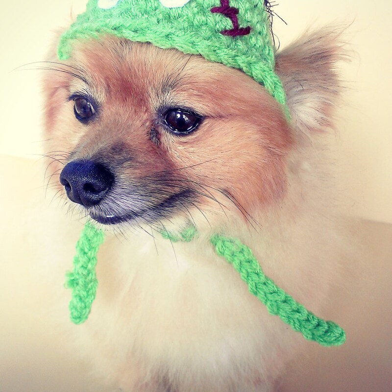 Frankenstein Dog Costume - Etsy
