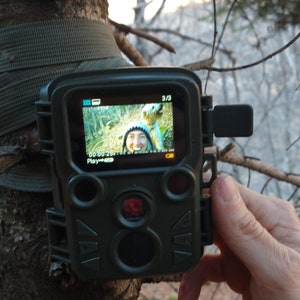 WOLF MEDICINE Trail Cam PORTRAIT Screenprinted limited Edition ...