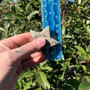 Ocean Jasper Star Stone, Polished Gemstone SALE - Etsy