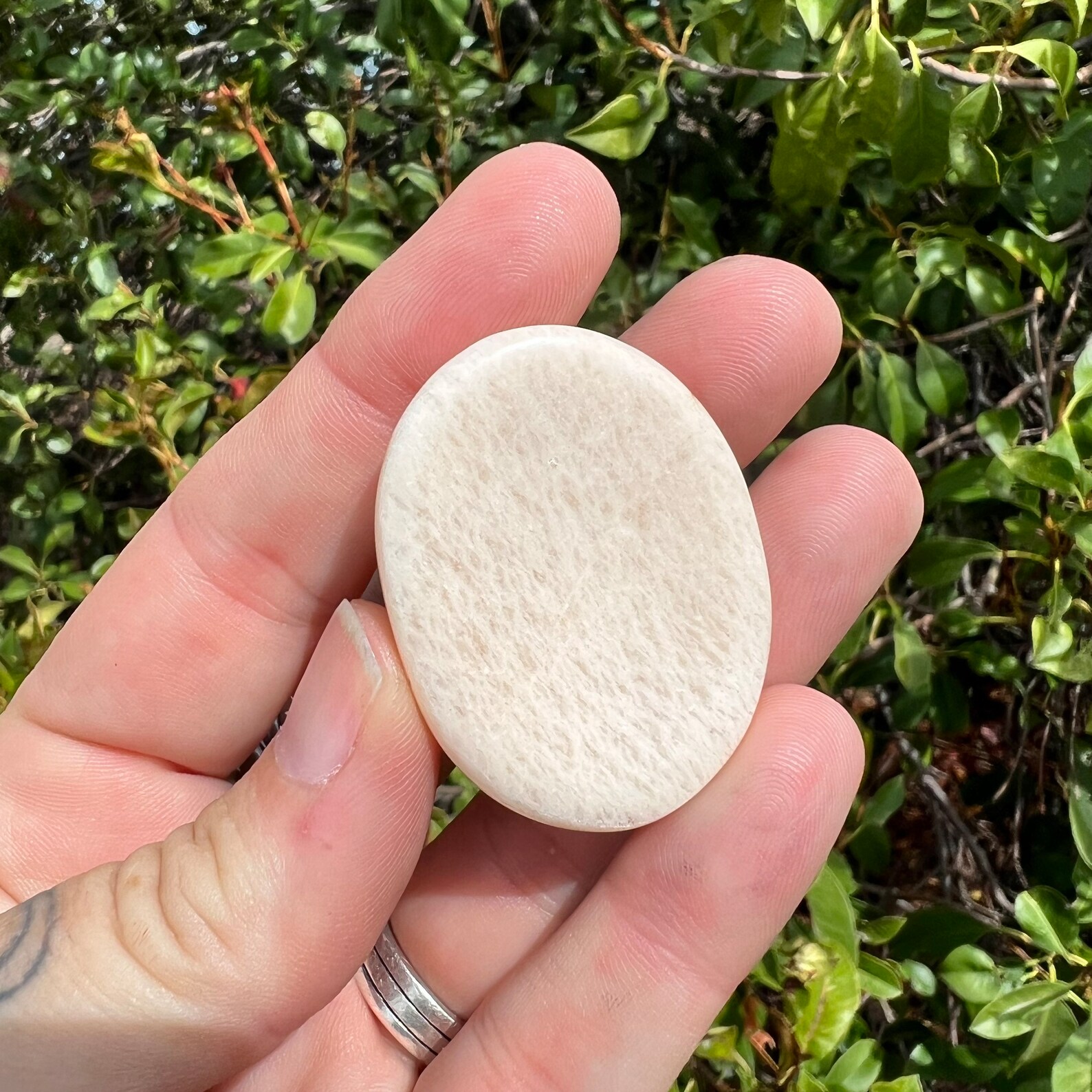 Peach Moonstone Worry Stone Polished Gemstone Crystal - Etsy