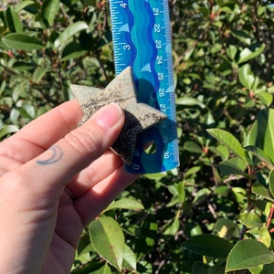 Ocean Jasper Star Stone, Polished Gemstone SALE - Etsy