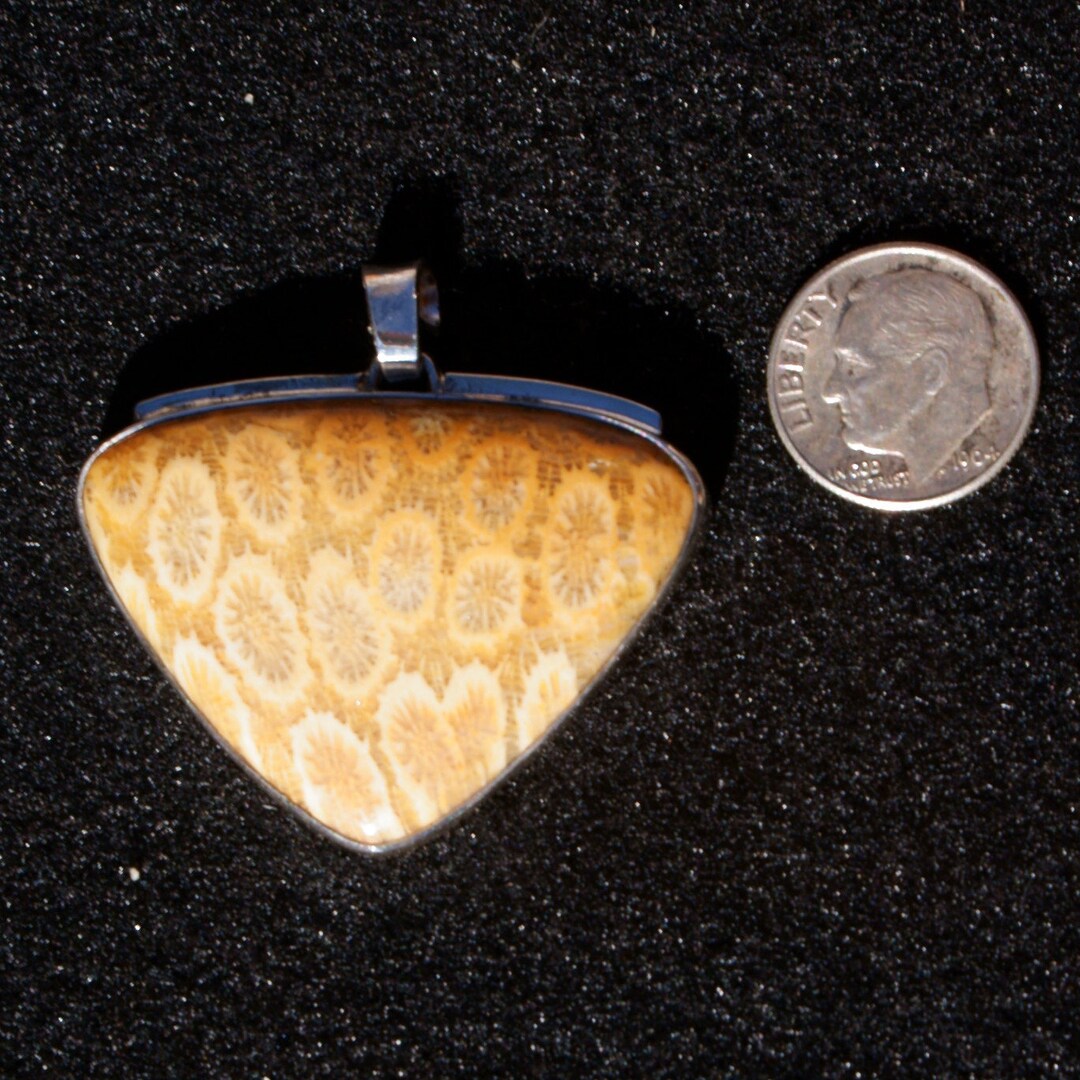 Triangle Fossil Coral Pendant - Etsy