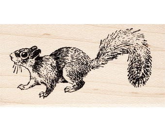 Squirrel stamp | Etsy