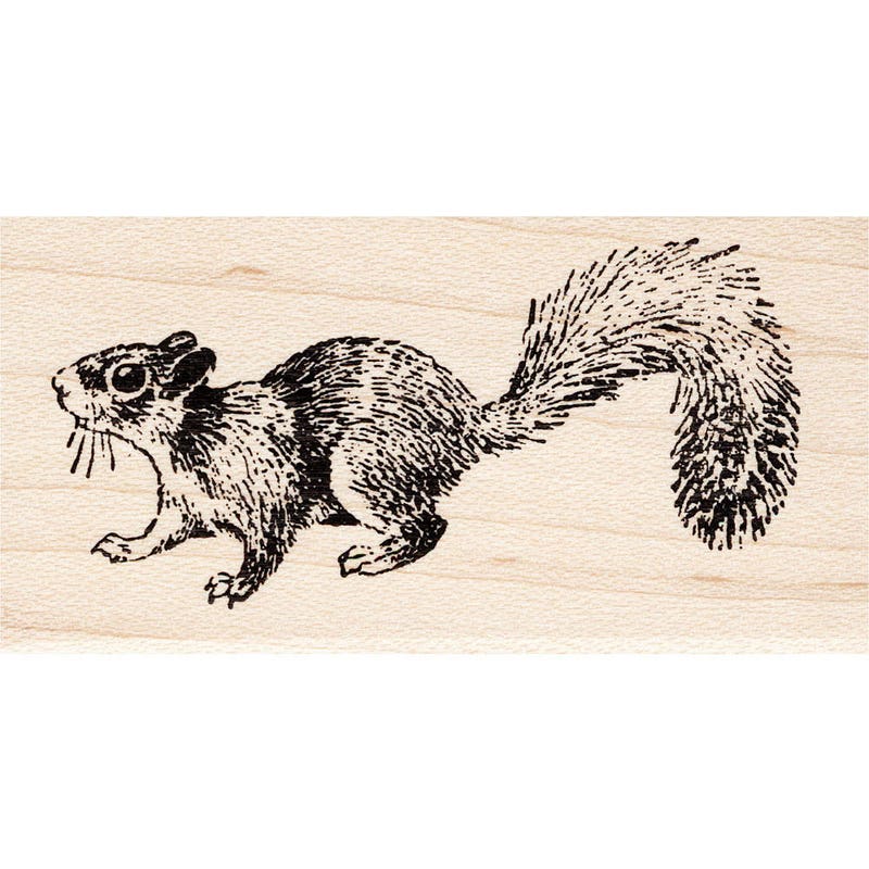 Squirrel Stamp - Etsy