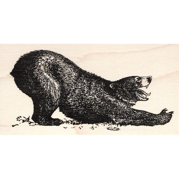 Bear Rubber Stamp - Etsy