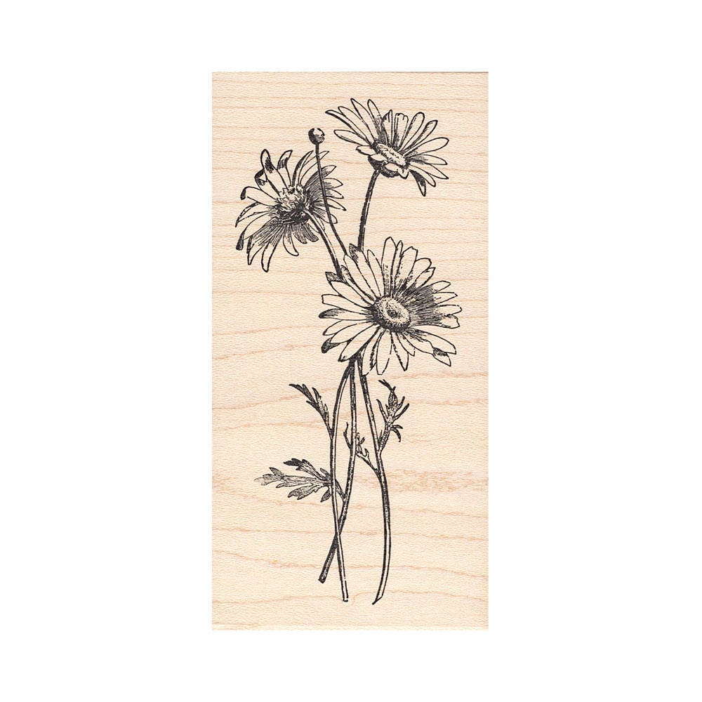 Oxeye Daisy Rubber Stamp - Etsy