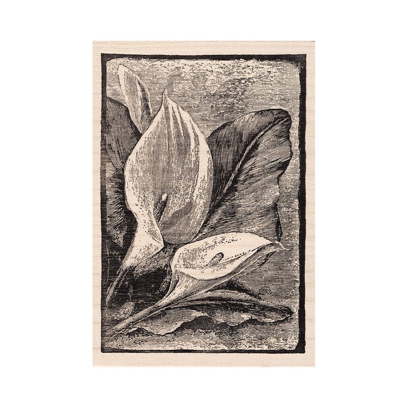 Lily Rubber Stamp - Etsy