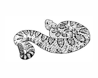 Snake stamp | Etsy