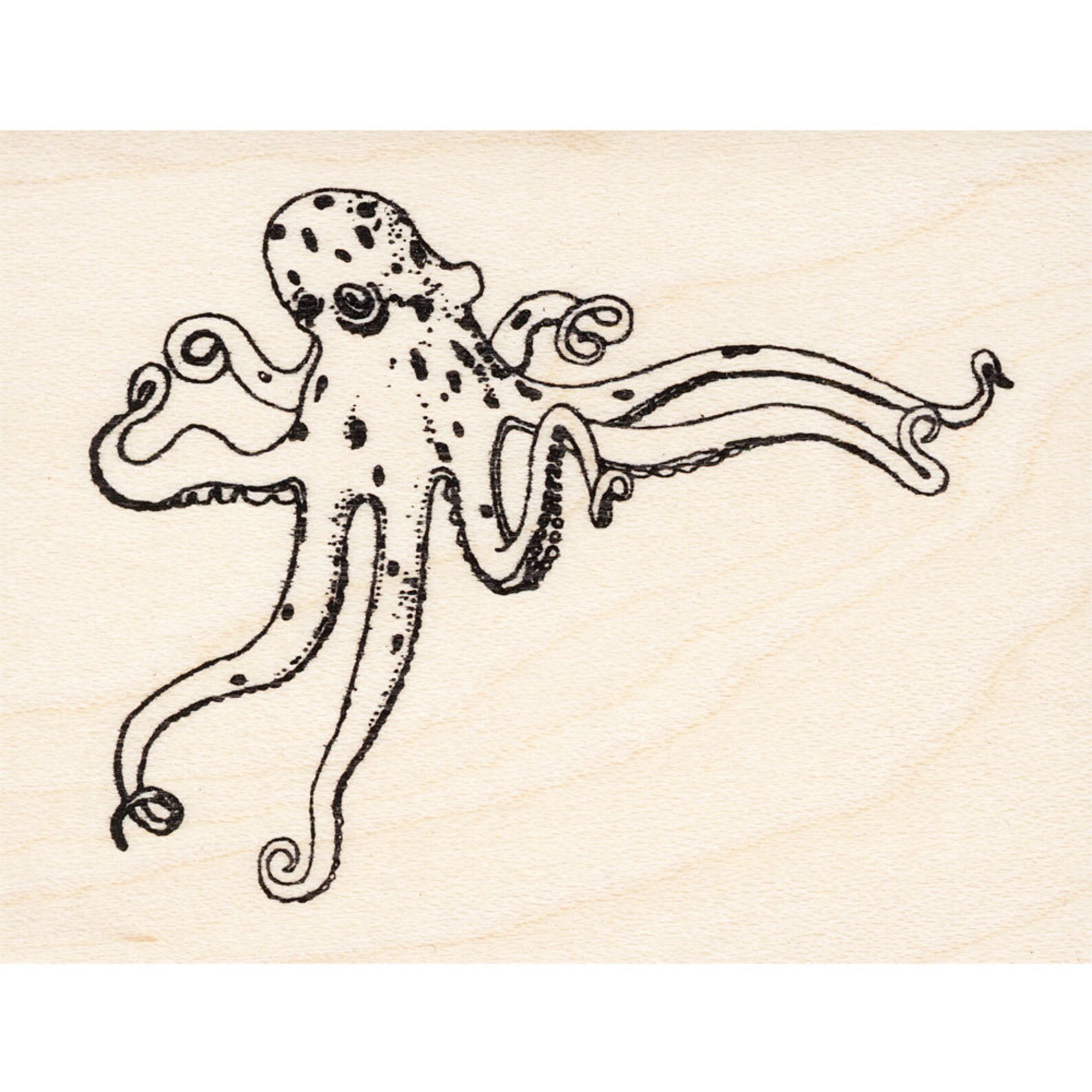 Octopus 1628I Beeswax Rubber Stamps Unmounted, Cling, Mounted Stamp ...