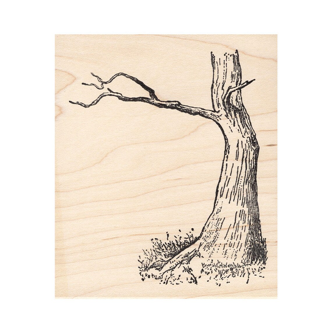 Old Tree 222M Tree Rubber Stamp Nature Scenic Landscape - Etsy