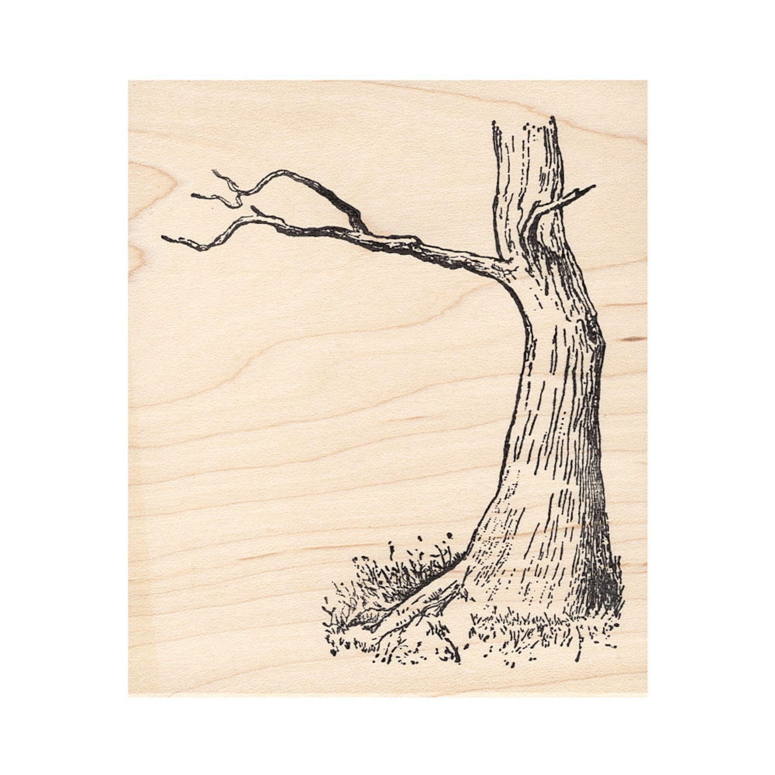 Old Tree 222M Tree Rubber Stamp Nature Scenic Landscape - Etsy