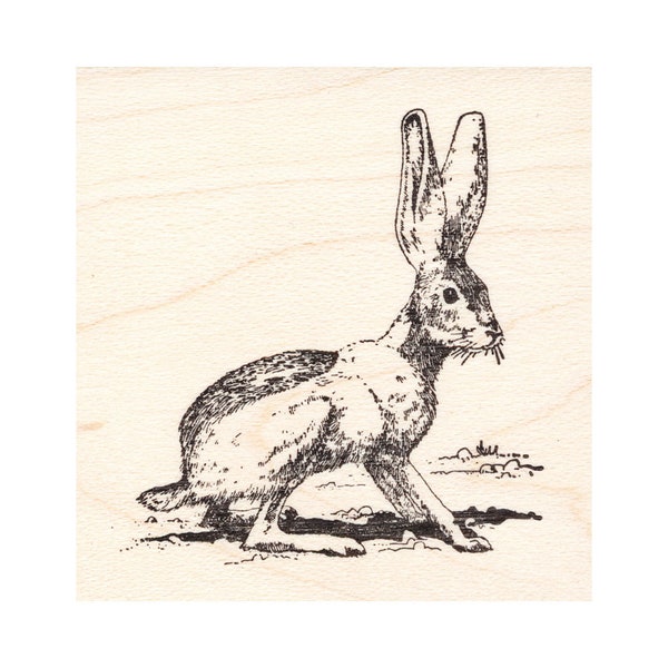Jack Rabbit - Etsy