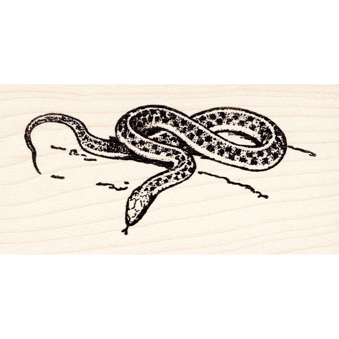 Garter Snake 1650I Beeswax Rubber Stamps Unmounted, Cling, Mounted ...
