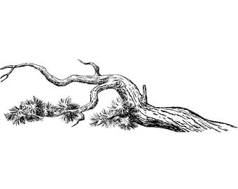 BARE TREE Rubber Stampperfect Tree Stamp for Autumn and Fall - Etsy