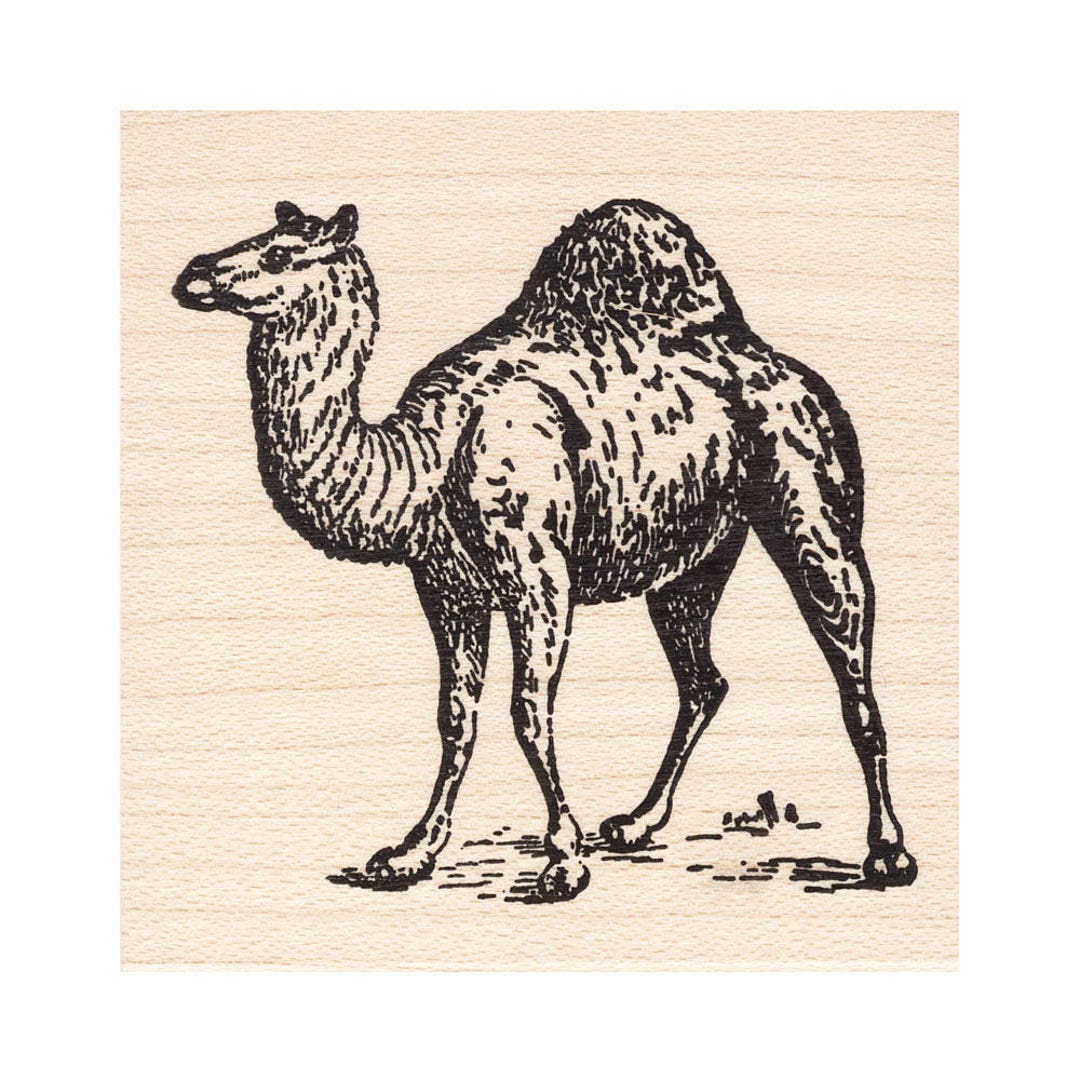 Small Camel 879H Beeswax Rubber Stamps Unmounted, Cling, Mounted Stamp ...