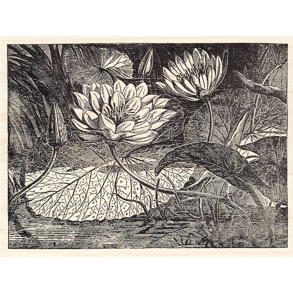 Lily Rubber Stamp - Etsy