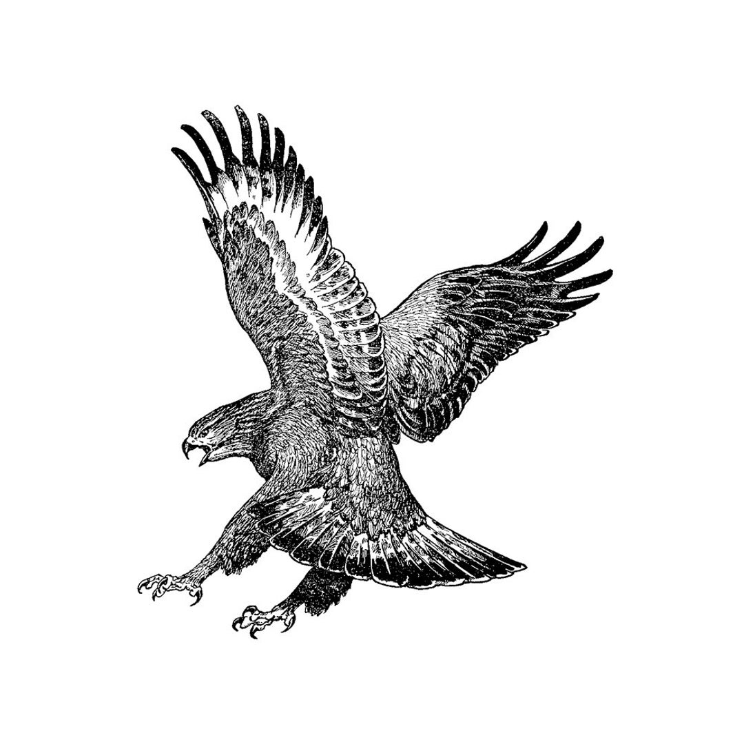 Hawk Hunting 1765I Bird Rubber Stamps Unmounted, Cling, Mounted Stamp ...