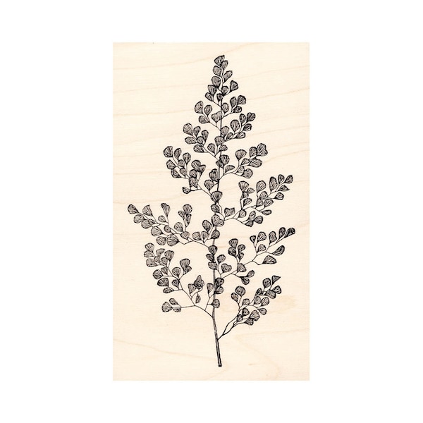 Fern Stamp - Etsy