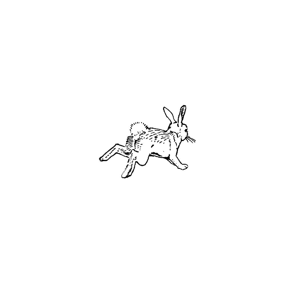 Hopping Bunny 635C Beeswax Rubber Stamps Unmounted, Cling, Mounted ...