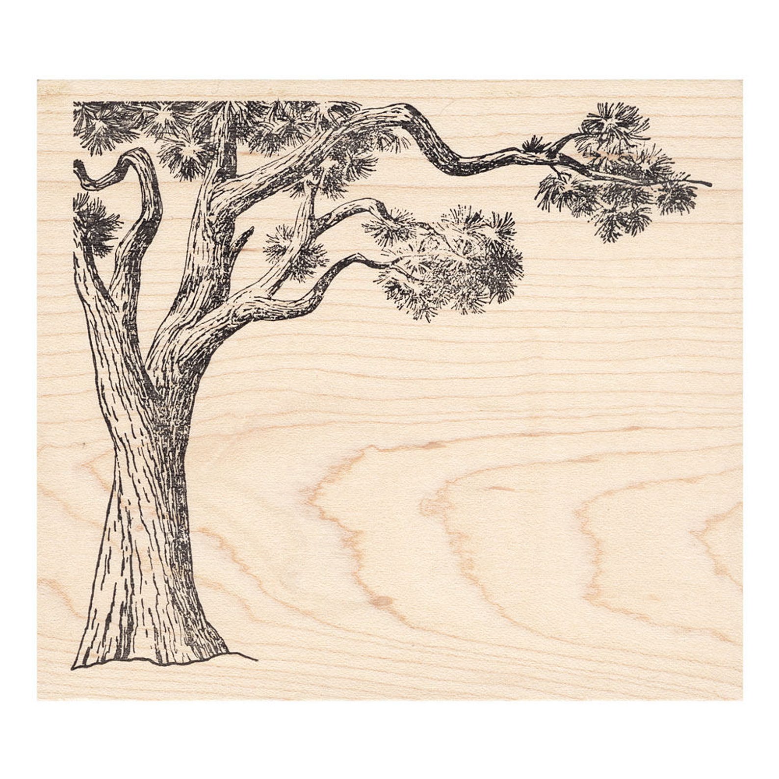 Joshua Tree 1533M Beeswax Rubber Stamps Unmounted, Cling, Mounted Stamp ...