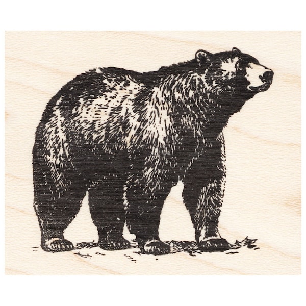Bear Rubber Stamp - Etsy