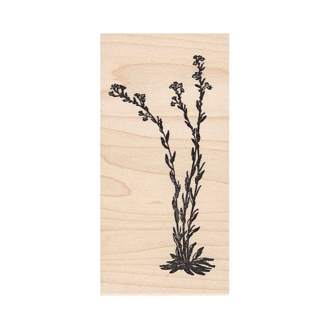 Tall Flowering Grass 50H Beeswax Rubber Stamps Unmounted, Cling ...