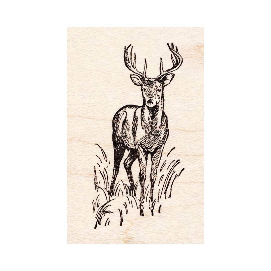 Buck in Tall Grass 1663E Beeswax Rubber Stamps Unmounted, Cling ...