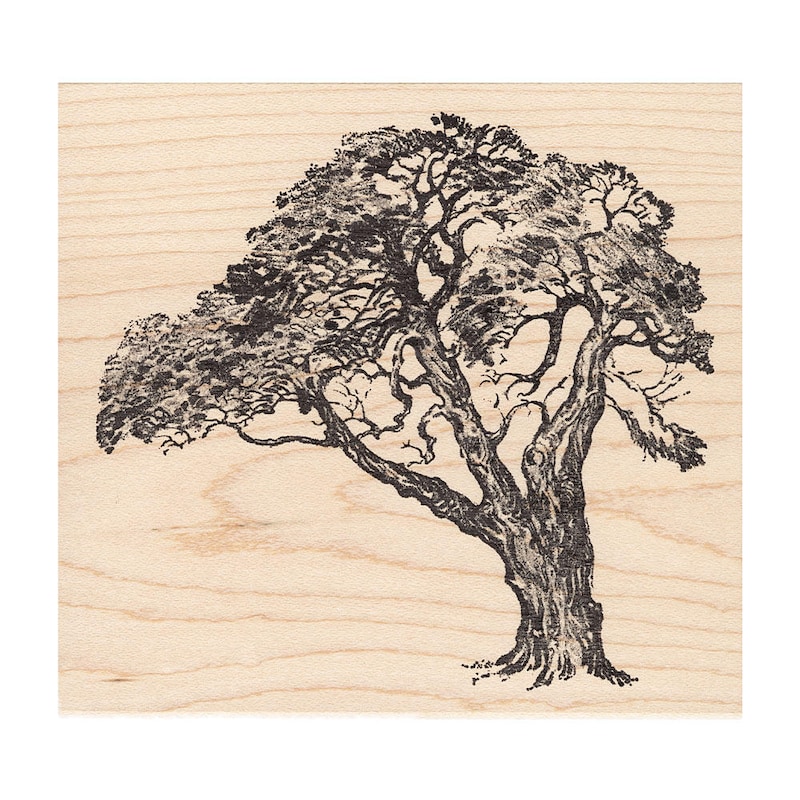 Tree Rubber Stamp - Etsy
