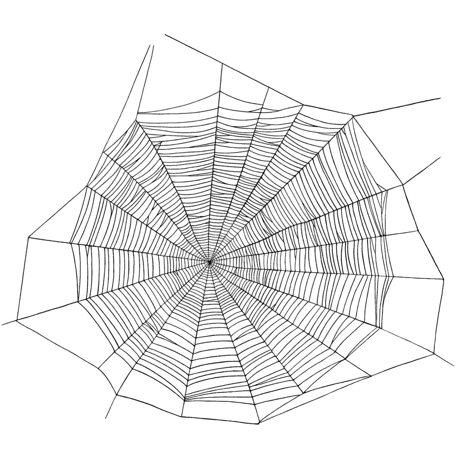 Large Web 989R Spider Web Rubber Stamp, Inscet, Animal, Wildlife ...