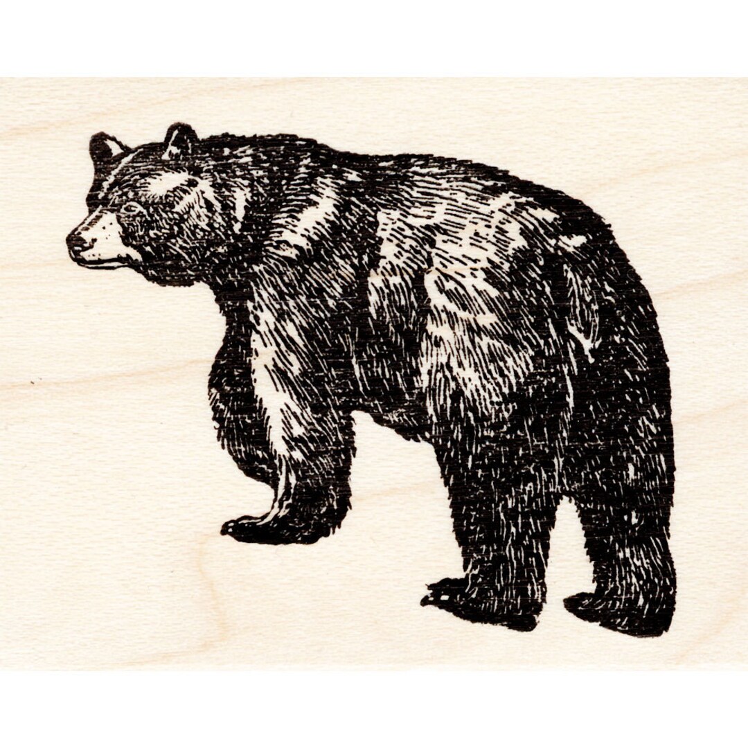 Black Bear 1749G Beeswax Rubber Stamps Unmounted, Cling, Mounted Stamp ...
