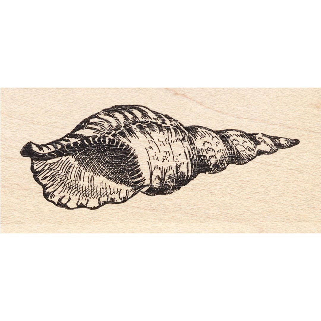 Single Shell 1284G Beeswax Rubber Stamps Unmounted, Cling, Mounted ...