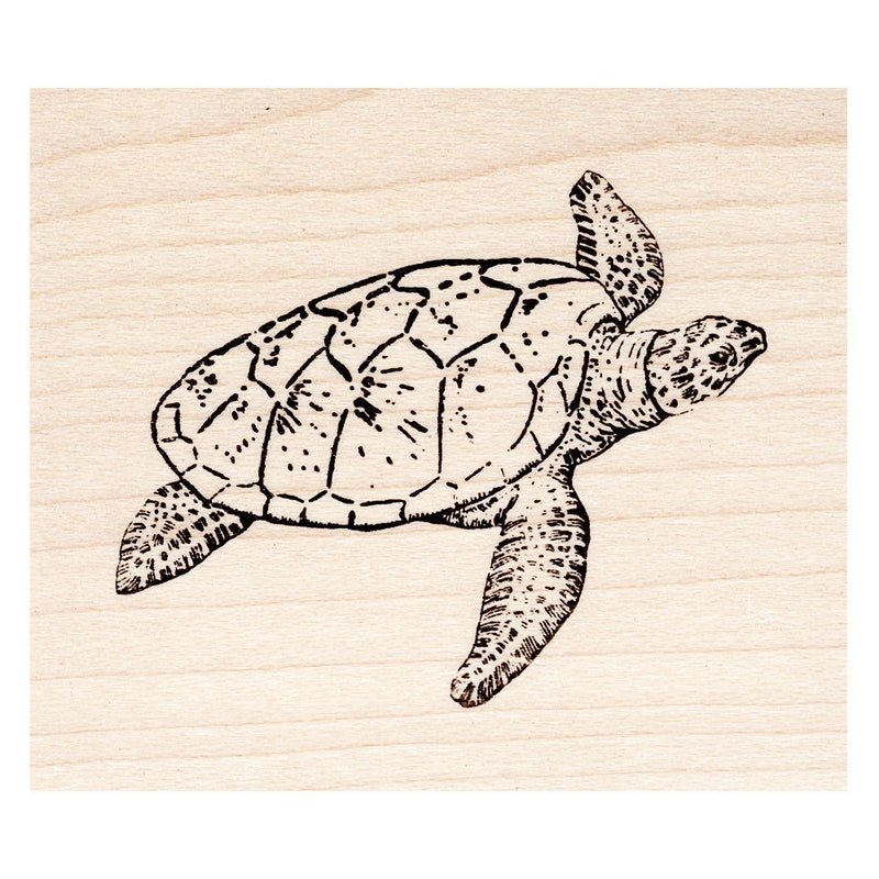 Turtle Stamp - Etsy