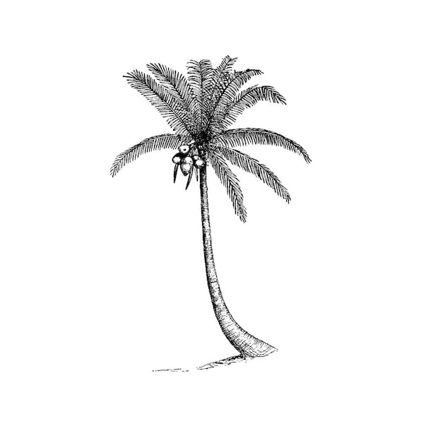 Palm Tree Stamp - Etsy