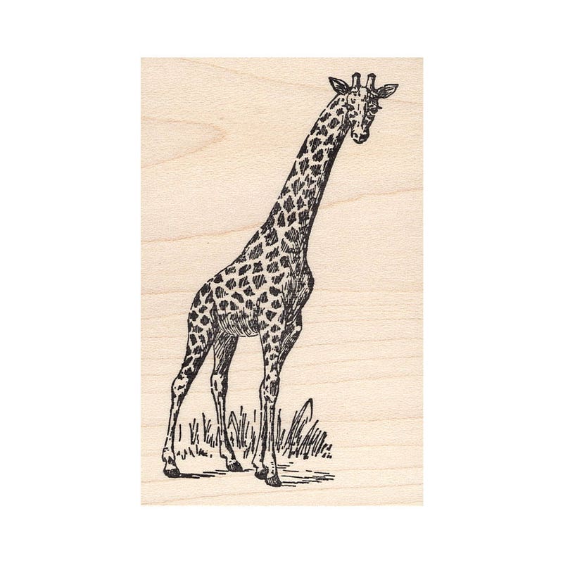 Giraffe Stamp - Etsy