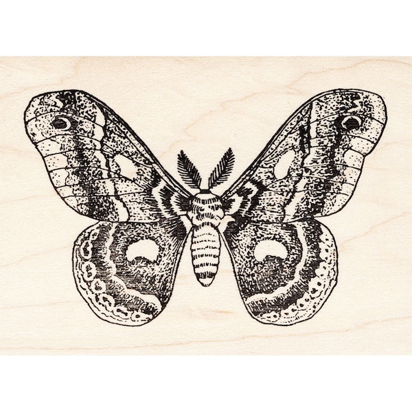 Moth Stamp - Etsy