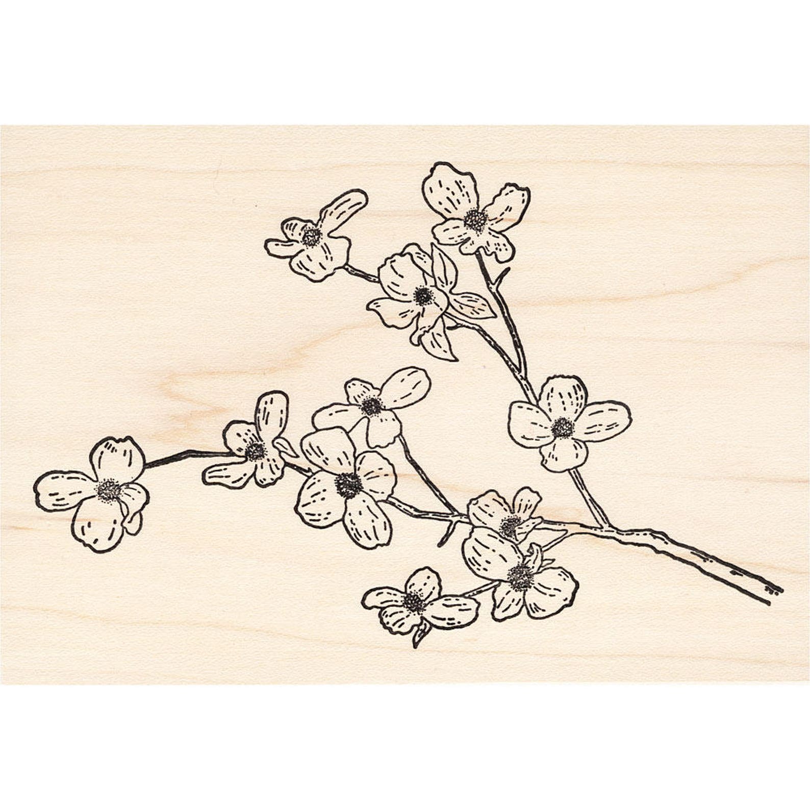 Dogwood 689M Beeswax Rubber Stamps Unmounted, Cling, Mounted Stamp ...