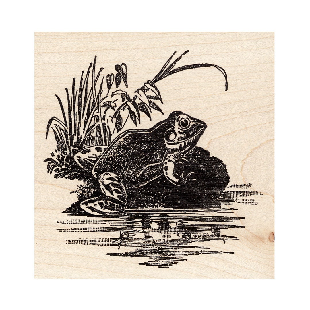 Pond Frog 882K Beeswax Rubber Stamps Unmounted, Cling, Mounted Stamp ...