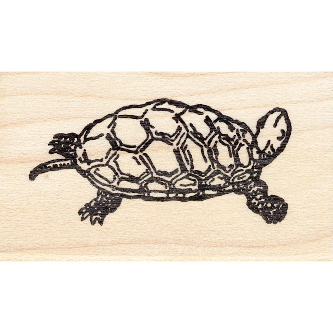 Turtle 637D Turtle Rubber Stamp, Animal, Nature Stamping - Etsy