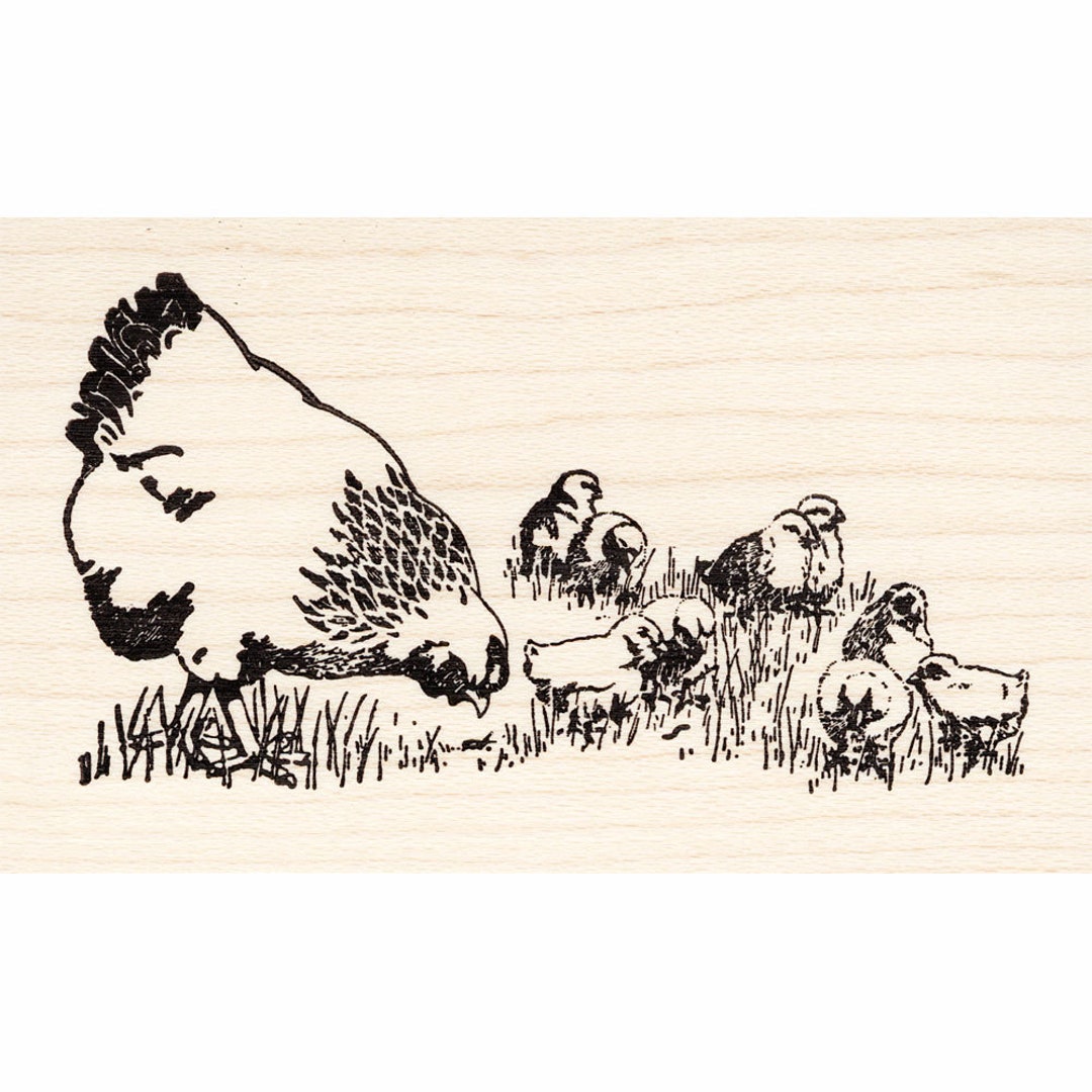 Hen & Chicks 1744J Chicken Rubber Stamp, Scenic, Animal, Nature ...