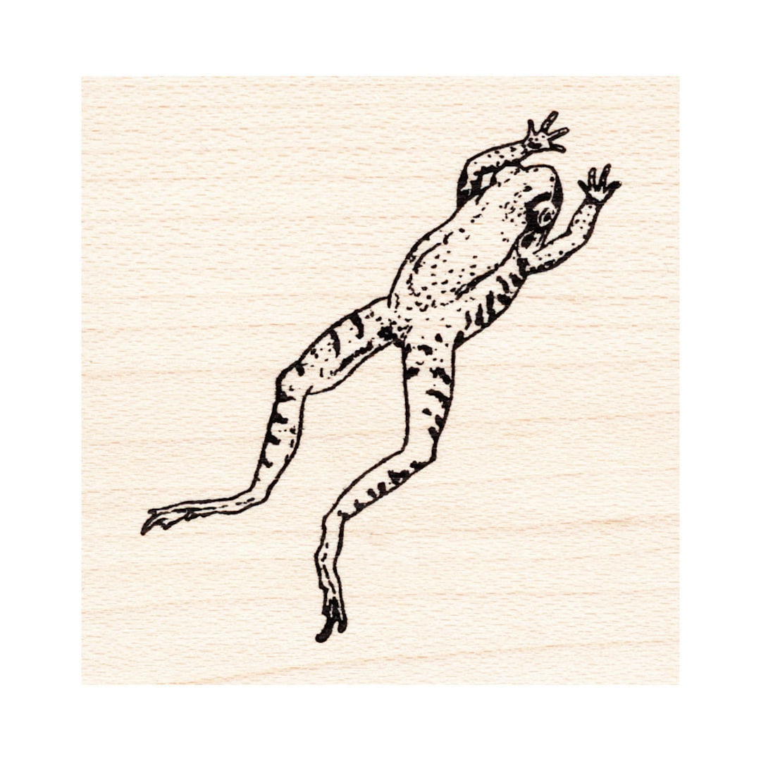 Jumping Frog 1653F Beeswax Rubber Stamps Unmounted, Cling, Mounted ...