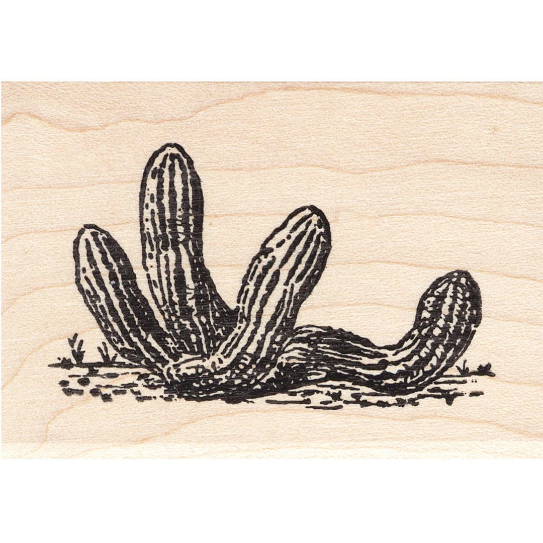 Ground Cactus 60C Beeswax Rubber Stamps Unmounted, Cling, Mounted Stamp ...