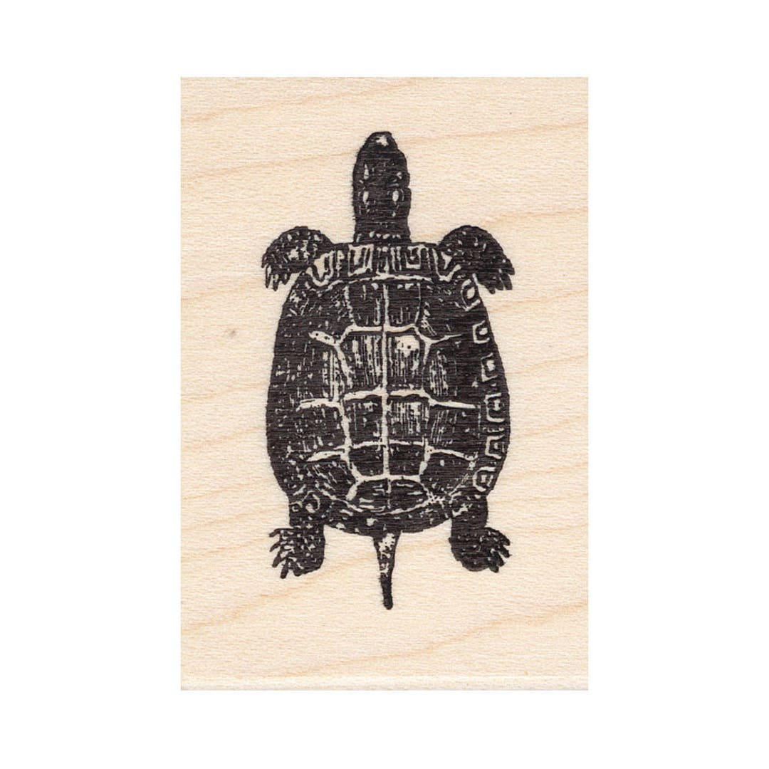 Top View Turtle 1025D Beeswax Rubber Stamps Unmounted, Cling, Mounted ...