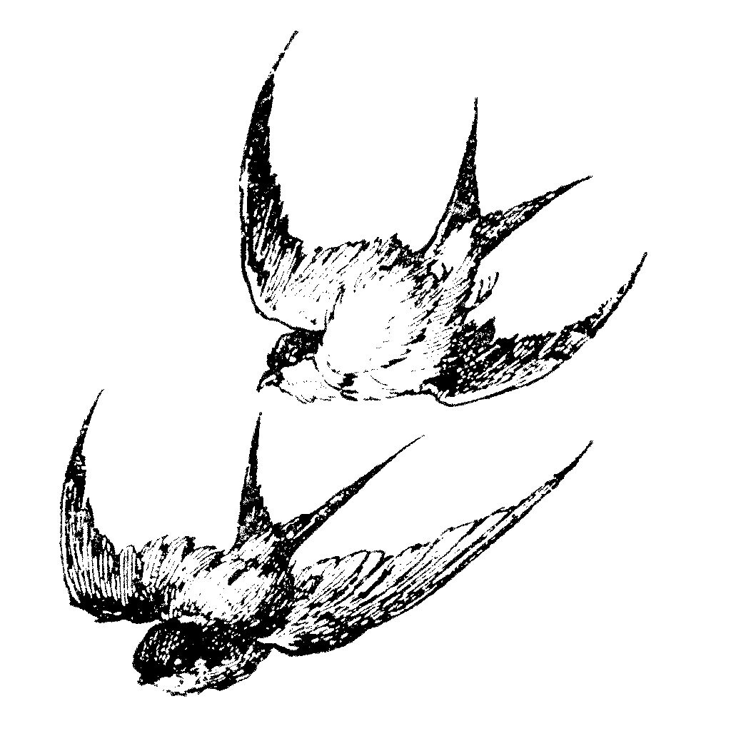 Barn Swallows 1324J Bird Rubber Stamp Animal Scenic | Etsy