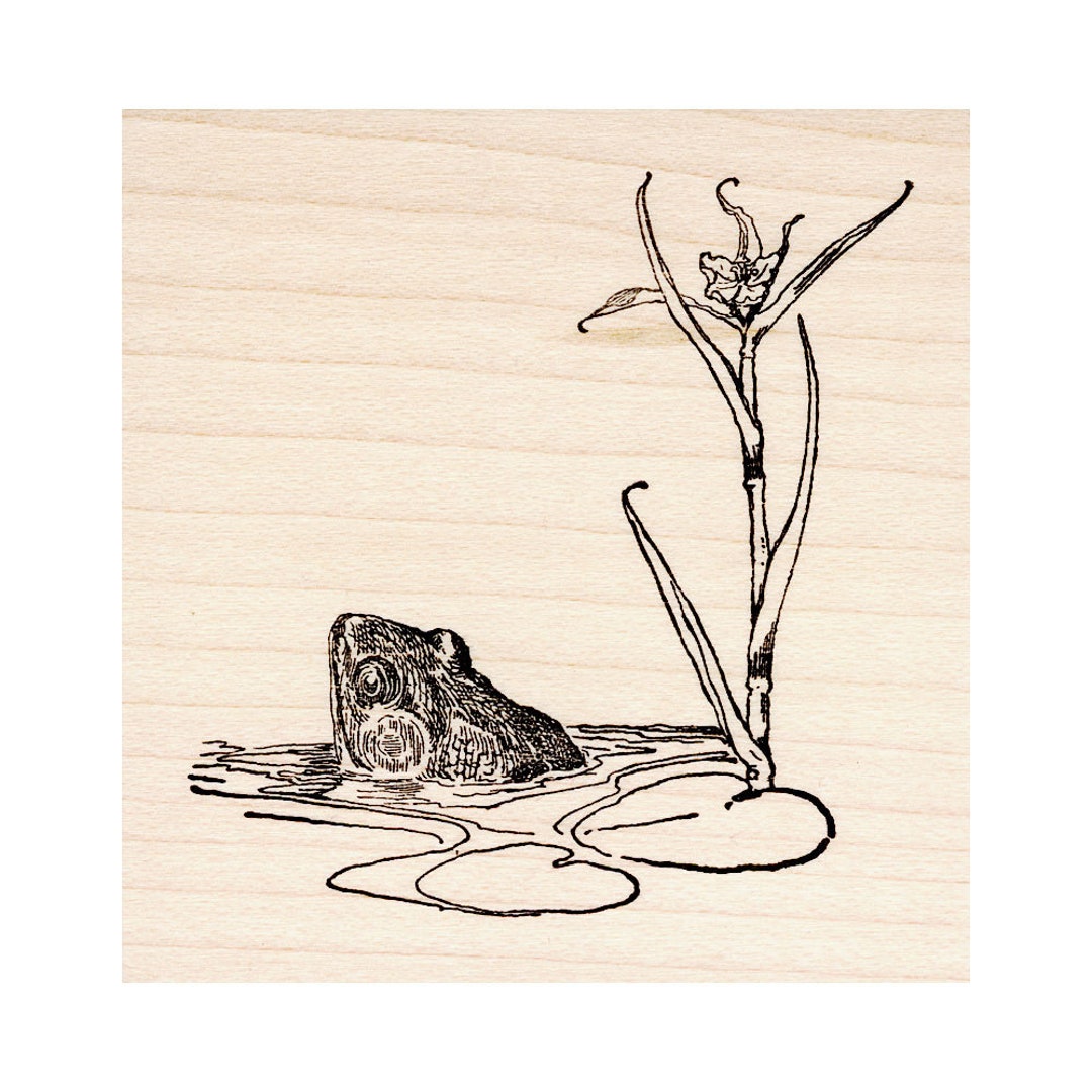 Bullfrog in Pond 1652I Beeswax Rubber Stamps Unmounted, Cling, Mounted ...