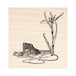 Bullfrog in Pond 1652I Beeswax Rubber Stamps Unmounted, Cling, Mounted ...
